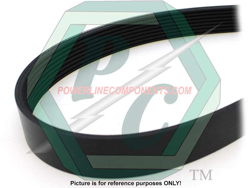 5307825 - V-Ribbed Belt